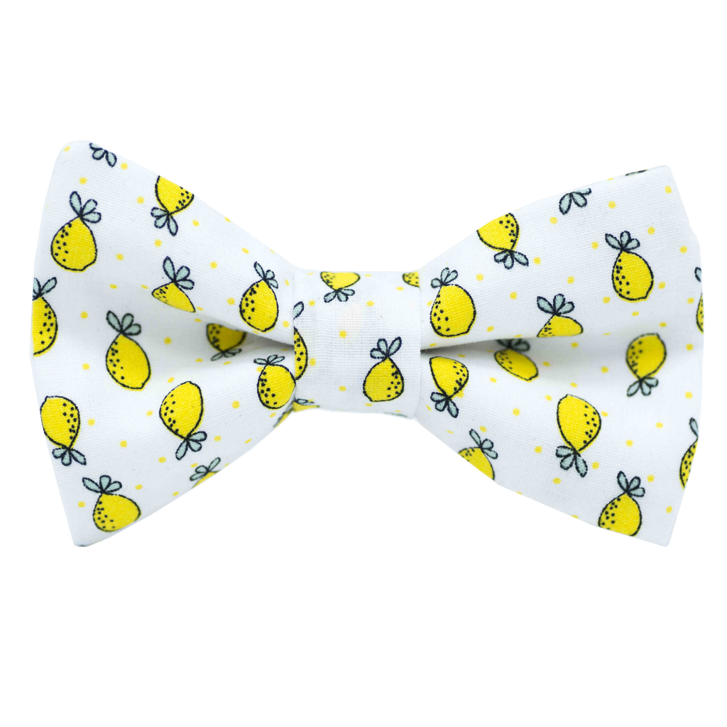Nœud papillon "Lemon mania" - citrons jaunes sur fond blanc - JAGGS